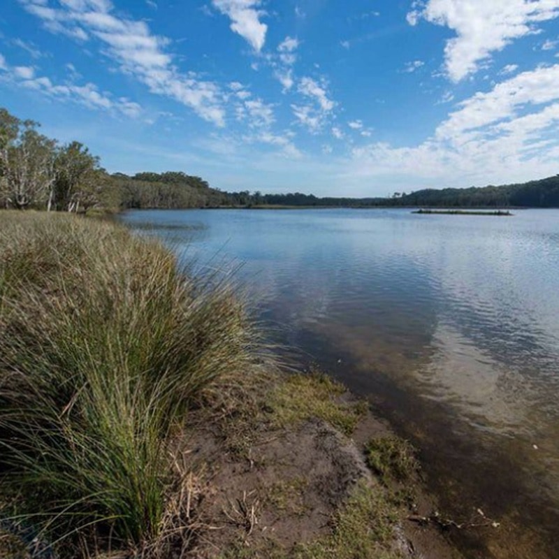 Lake Innes Nature Reserve, Port Macquarie | Explorow.com